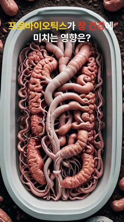 프로바이오틱스가 장 건강에 미치는 영향은 프로바이오틱스 장건강 장내미생물 Youtube