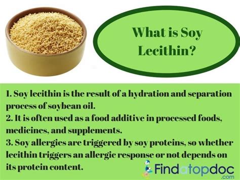 Why Lecithin Is Bad For You [2025] Qaqooking Wiki