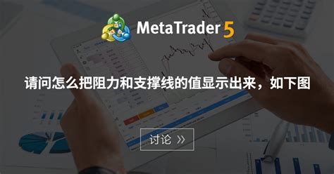 请问怎么把阻力和支撑线的值显示出来，如下图 技术指标 Mql5 算法交易论坛