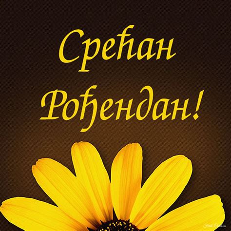 С днем рождения на сербском языке картинки Фото подборки