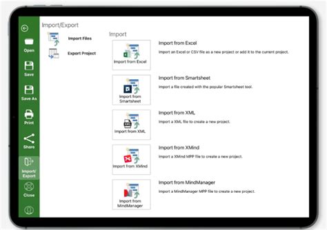 Import From Excel Project Plan 365