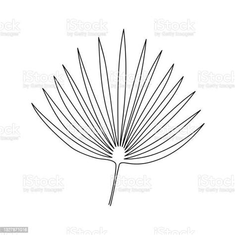 한 줄로 그려진 열대 참엽 잎 꽃 스케치 최소한의 인쇄 벡터 그림입니다 브라질리아에 대한 스톡 벡터 아트 및 기타 이미지 브라질리아 0명 곡선 Istock