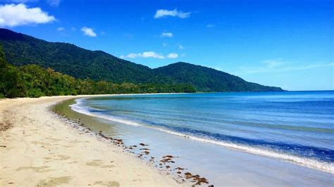 Turismo En Cape Tribulation 2023 Viajes A Cape Tribulation Australia