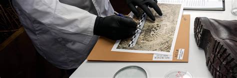 Forensic Laboratories Cils