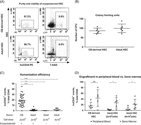 Qualitative And Functional Assessment Of Cb‐derived And Adult Hsc In Download Scientific
