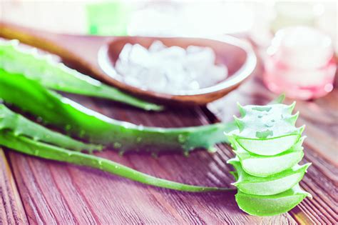 알로에 베라 젤 암 염 미네랄 나무 바탕에 크림 피부 유기농 스킨 케어 고 민감한 피부를 위한 천연 화장품 알로에 베라 잎을 썬 대체 의학 스파와 스킨 케어 개념 건강관리와