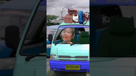 Main Filter Cek Shortsyoutubevideoviral Kumpulanpresetalightmotionjedagjedug Funny Cat Cat