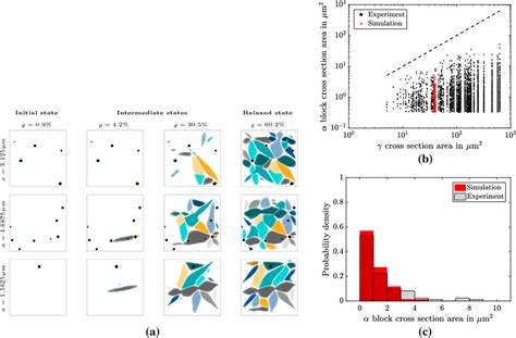 Presentation Of A Simulated Martensite Microstructure Cross Sections