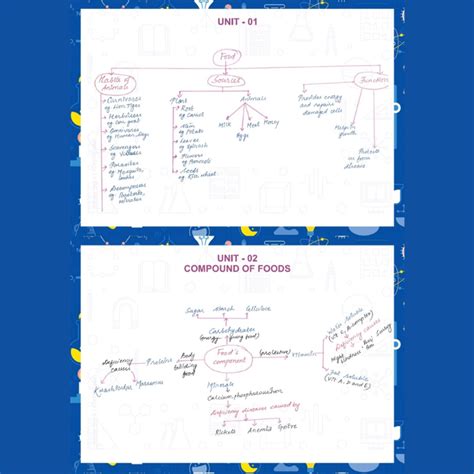 Science Flow Charts And Summaries Edunique