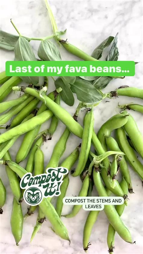 California Greek Girl Home