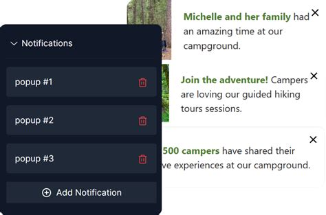 Website Notification Popup Widget Website Notification Popup Widget