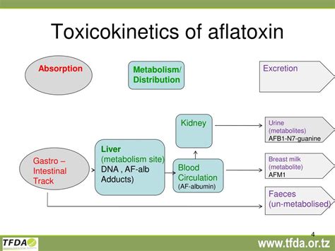 Ppt Aflatoxin Exposure Health Impacts Risk Assessment And Database
