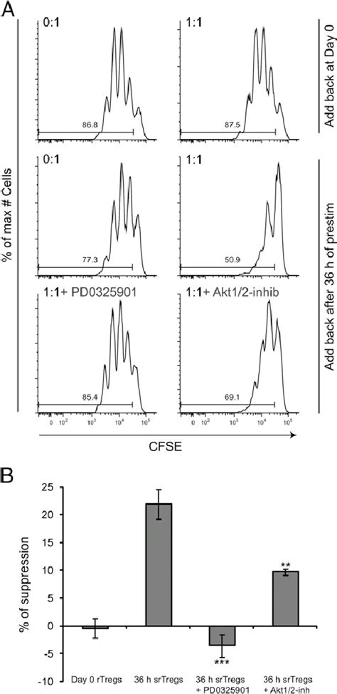Induction Of Rtreg Suppressive Capacity Is Mek Dependent A Sorted Download Scientific Diagram