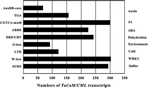 Genome Wide Identification And Expression Analysis Of Calmodulin And Calmodulin Like Genes In