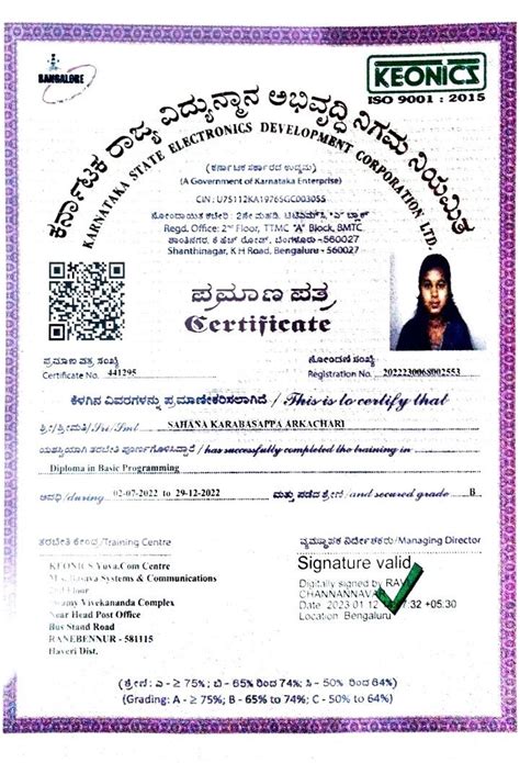 Sahana Arkachari On Linkedin I Successfully Completed A Six Month Diploma In Basic Programming