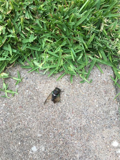 The Square Of The Hypotenuse Or A Useful Thing I Learned In Math Class