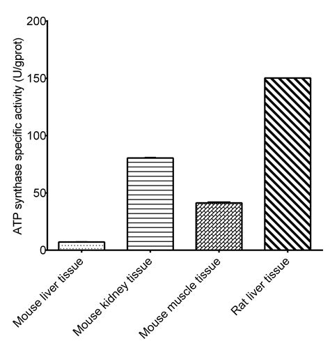 Mitochondrial Complex V Activity Assay Kit Colorimetric Nbp3 25842