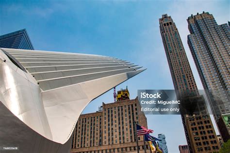 맨해튼 다운타운의 오큘러스와 고층 빌딩의 낮은 각도 보기 0명에 대한 스톡 사진 및 기타 이미지 0명 건물 외관 건축 Istock
