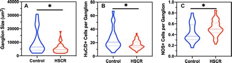 Proximal Margin Histology Is Abnormal In Hscr Patients Image Analysis