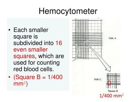 Ppt Haematology Powerpoint Presentation Free Download Id 5754864