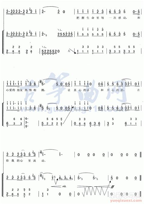 真心英雄 古筝曲谱 乐器学习网