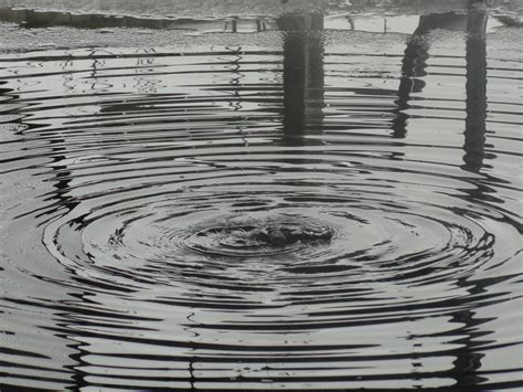 Only Assholes Let The Sun Go Down On Their Dreams Daily Guidance