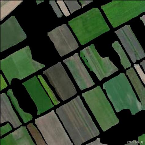 基于yolo11深度学习的遥感视角农田检测与分割系统【python源码pyqt5界面数据集训练代码】深度学习实战、目标分割、人工智能