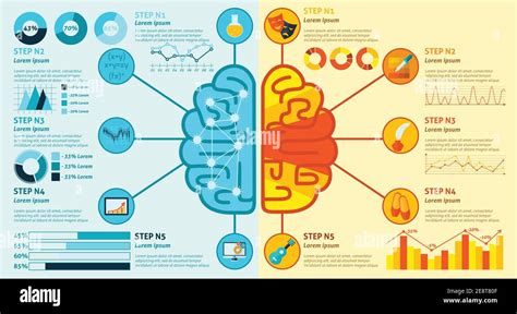 Left Brain Vs Right Brain Characteristics