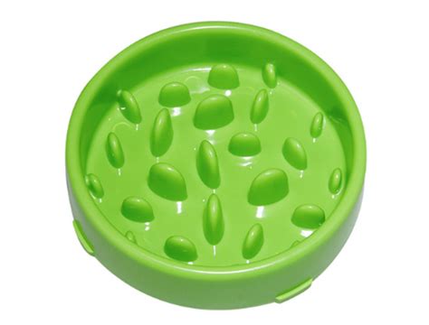 Миска лабиринт для собак и кошек - ZooGadgets