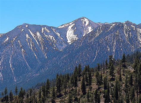 The June 6 2024 R C Morning Report Serving Minden Gardnerville And
