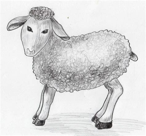 Weekly Doodles And Tuts Drawspace Lesson I How To Draw A Sheep