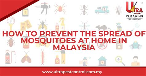 How To Prevent The Spread Of Mosquitoes At Home In Malaysia Ultra