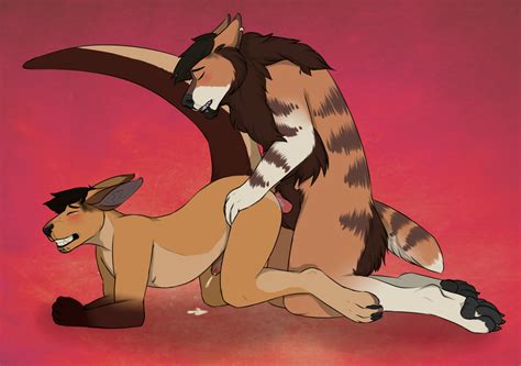 Rule 34 Anal Anal Sex Animal Genitalia Anthro Black Nose Blush Canine