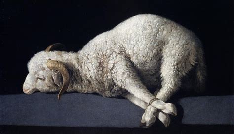 The Passover Lamb