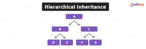 Inheritance In C A Guide For Beginners