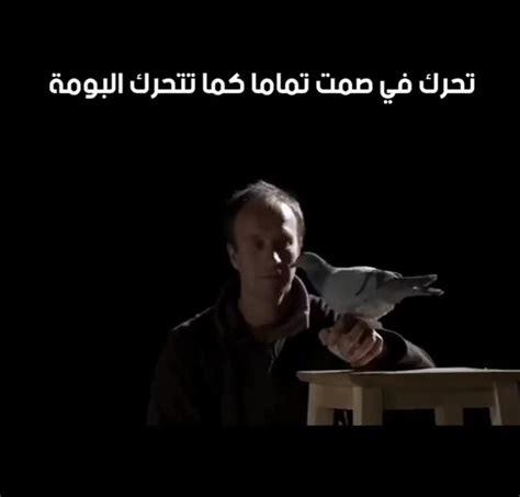 Mohamed El Moazen On Linkedin ️