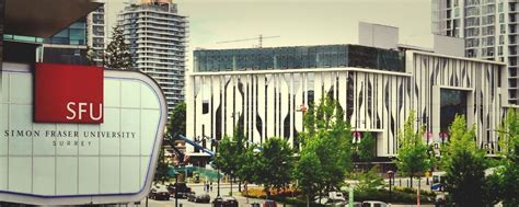 Sadra Bahrami On Linkedin I Am Extremely Excited To Begin A New