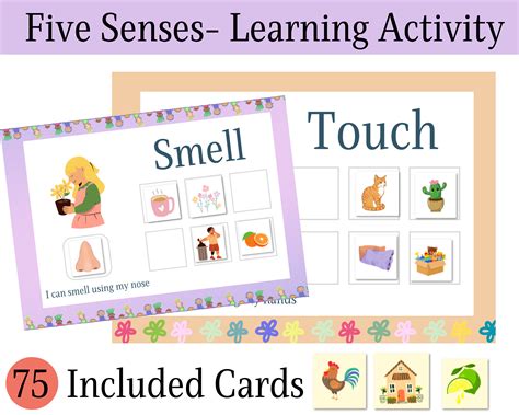 Printable Five Senses Learning Activity Educational Sorting Game