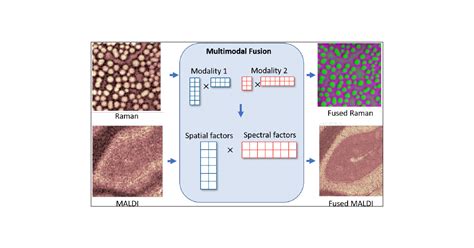 Correlative Hyperspectral Imaging Using A Dimensionality Reduction