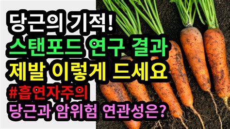 당근의 놀라운 효능과 영양소 흡수를 극대화하는 팁 흡연자 주의 당근과 암 위험의 연관성은 Youtube