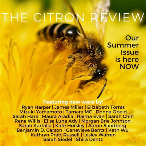 Carson Mccullers Was Not Married When She Died But She Did Tell Tennessee Williams That She Had