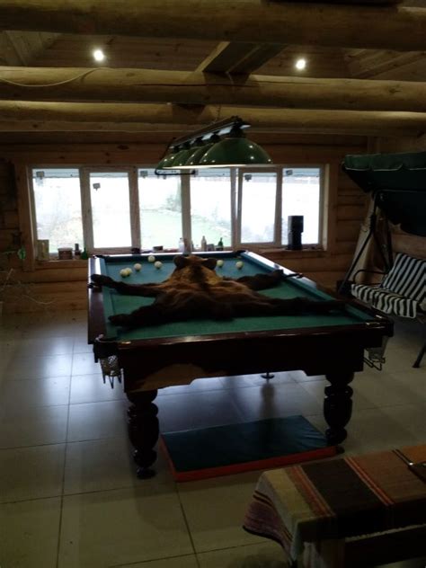 Купить дом в деревне Большая Козона у реки с земельным участком 15 соток за 6 500 000 руб