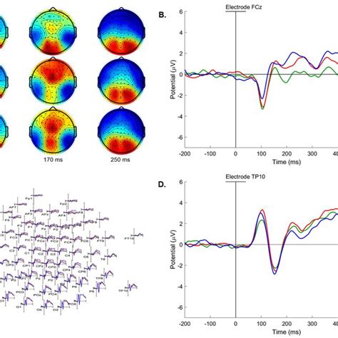 Example Event Related Potential Data From Three Of The Network Face Download Scientific Diagram