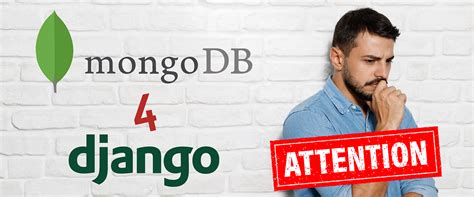 Have You Chosen Mongodb For Django By Orazio Conte May 2023 Medium