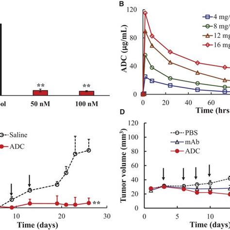 Evaluation Of Egfr Overexpression And Adc Specific Targeting To Tnbc Download Scientific