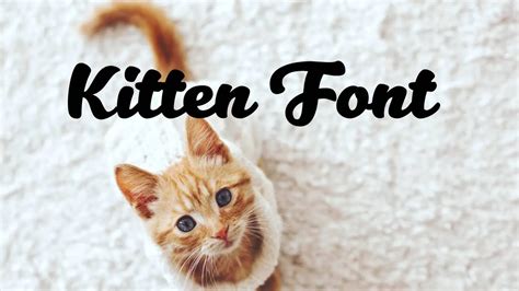 Kitten Font Free Download