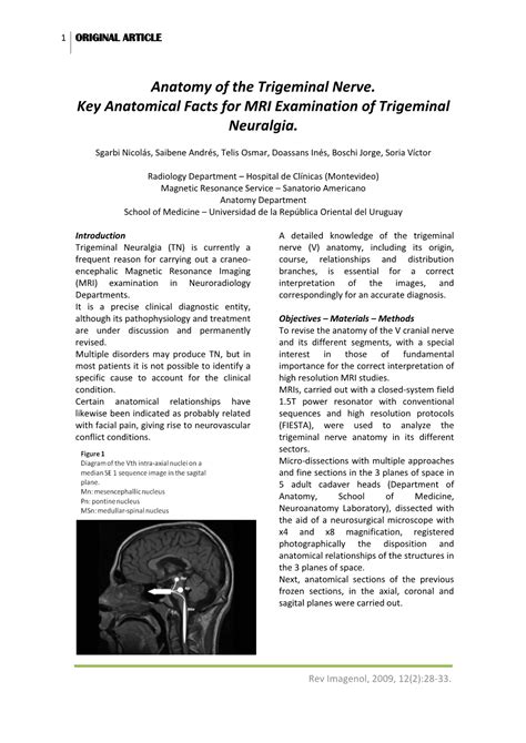 Anatomy Or The Trigeminal Nerve Key Anatomical Facts For Mri Examination Of Trigeminal