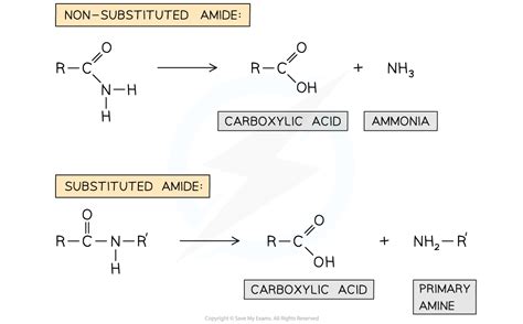 Cyclic Amide Hydrolysis