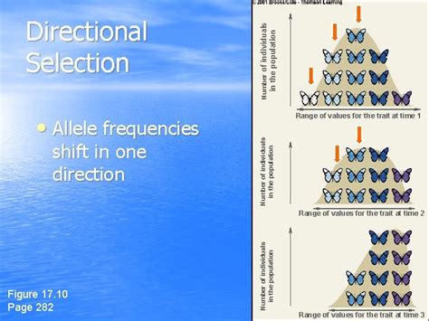 Microevolution Chapter 17 Selective Breeding Evolution Evolution Is