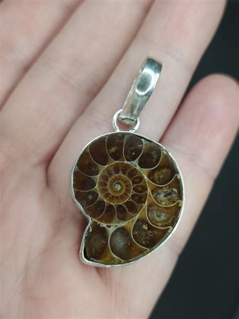 Кулон амоніт — ціна 650 грн у каталозі Кулони Купити аксесуари за доступною ціною на Шафі